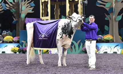 World Dairy Expo - World Dairy Expo